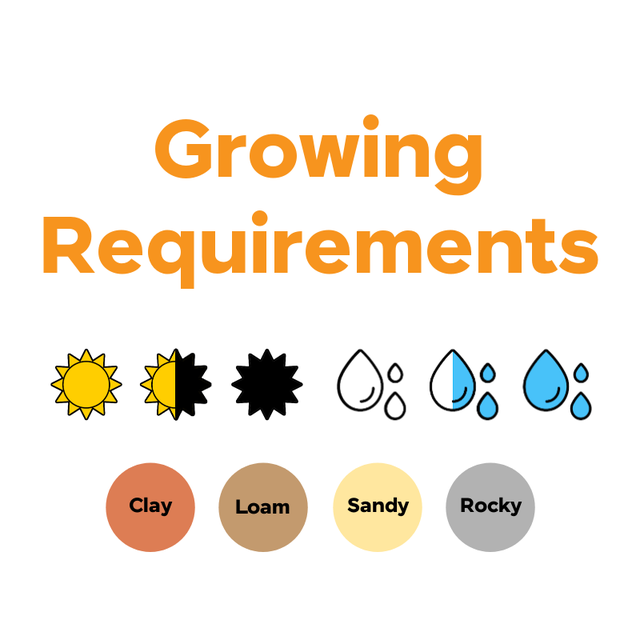 Deeply Rooted Landscapes